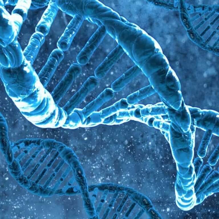 Produkty do badań biomedycznych - CytoGen Sp. z o.o.