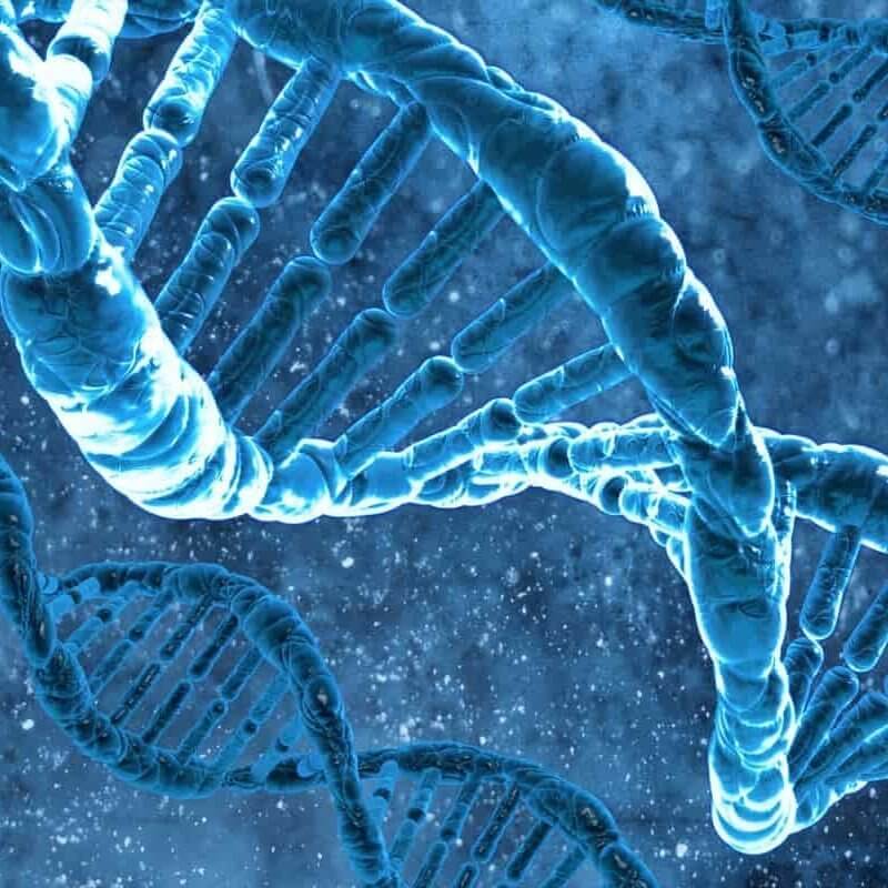 Produkty do badań biomedycznych - CytoGen Sp. z o.o.