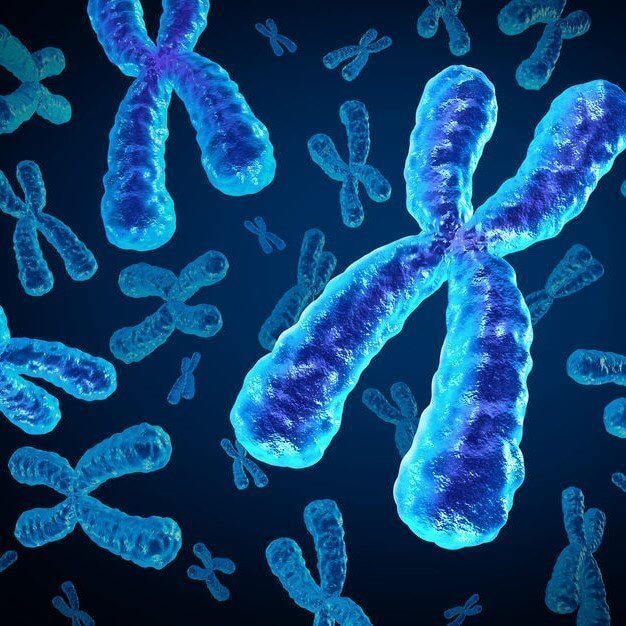 Produkty do badań biomedycznych - CytoGen Sp. z o.o.